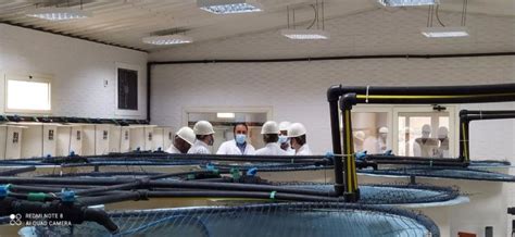 Mohamed Abd El Hameed On Linkedin Viste To Aquaculture Research Unit