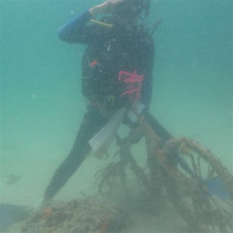 Ivan Calixto Doctor Of Philosophy Los Andes University Colombia