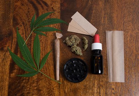 대마초 Sativa 나뭇잎과 마리화나 오일 분쇄기와 연기 잡 초 나무 배경에 공동 논문 0명에 대한 스톡 사진 및 기타 이미지