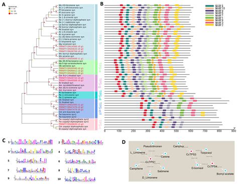 Metabolism And Transcriptome Profiling Provides Insight Into The Genes