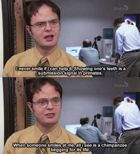 50 Best Dwight Schrute Quotes From The Office Yourtango