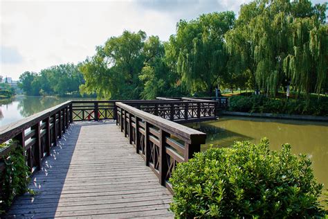 现代小桥图片小桥图片卡通图片第8页大山谷图库