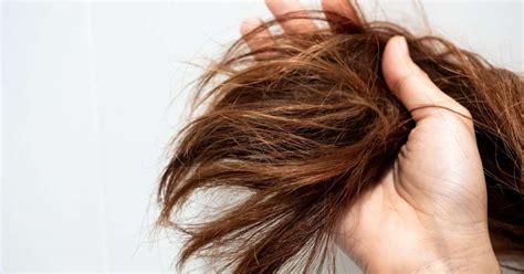 Cabelo Poroso Saiba O Que é E Como Tratar Esse Problema