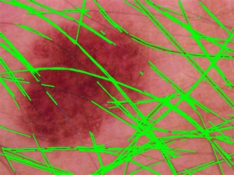 Interpolation Using Knn And Idw Spatial Data Analysis And Visualization By Francode77 Medium