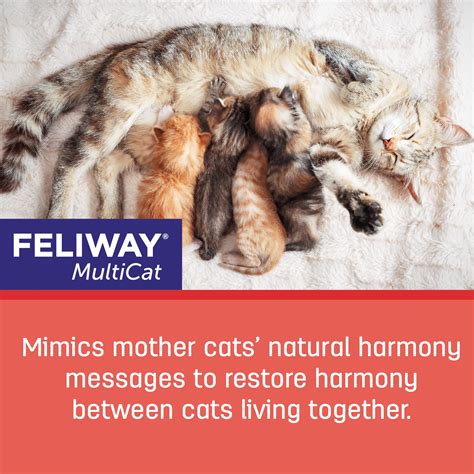 Feliway Multicat Calming Pheromone Diffuser For House Cats 30 Day Starter Kit 48 Ml C