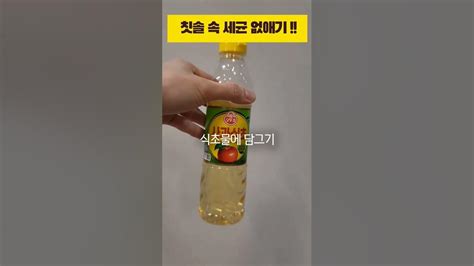 칫솔을 물로만 헹군다구요 세균 제대로 없애야 합니다 Youtube
