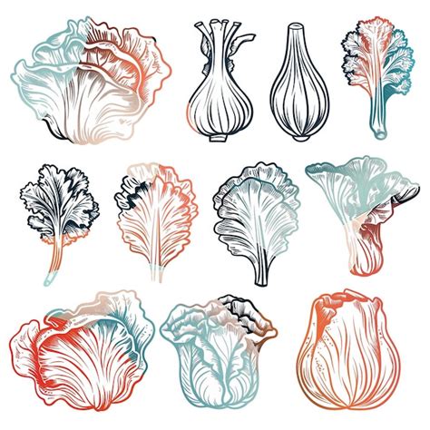 Lins Vectors And Illustrations For Free Download Freepik