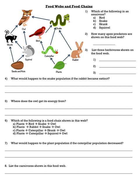 Food Webs And Food Chain Worksheets Answer Key