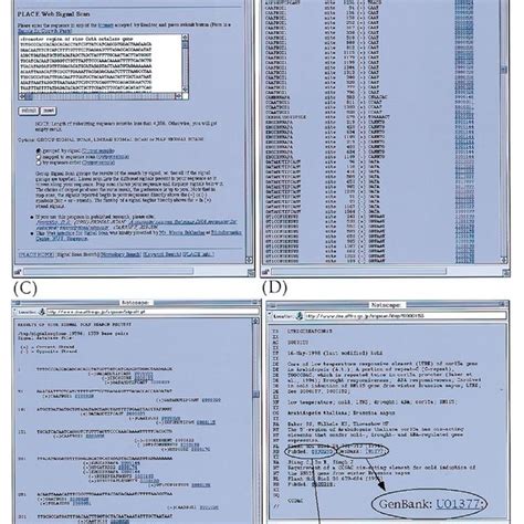 A Result Of Sample Place Query Using Signal Scan Program A A Sample Download Scientific