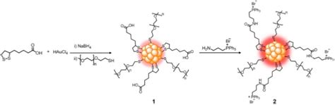 Synthesis Of Near Infrared Emitting Gold Nanoclusters For Biological Applications