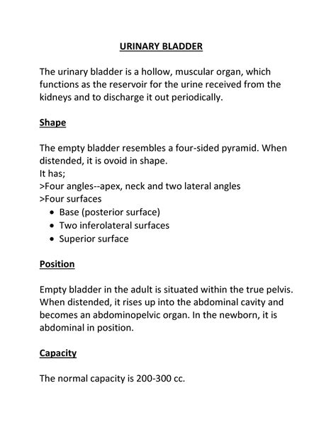 Urinary Bladder This Study Material Is For Nursing Students To Improve Their Knowledge