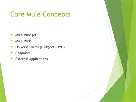 Mule Overview Ppt