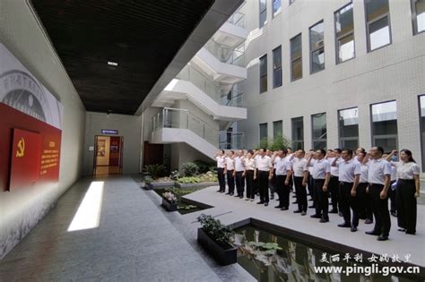 县委组织开展主题党日暨警示教育 平利县人民政府
