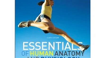Essentials Of Human Anatomy And Physiology With Masteringaandp 10th