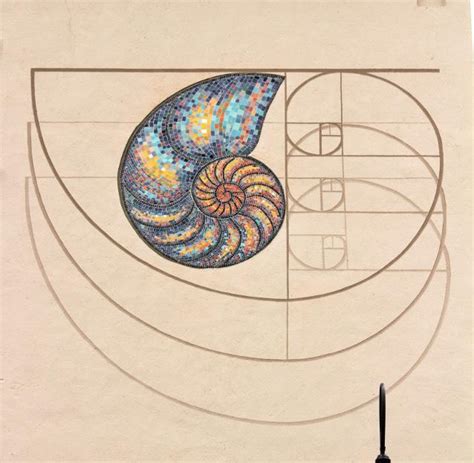 Przemysław Garczyński On Linkedin Fibonacci Shell Mosaic Przemysław Garczyński On Linkedin Fibonacci Shell Mosaic