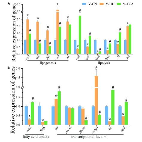The Relative Expression Of Genes Associated With Lipid Metabolism Of