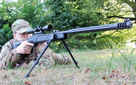 Top 10 Hunting And Pest Control Air Rifles Air Rifle Reviews Gun Mart
