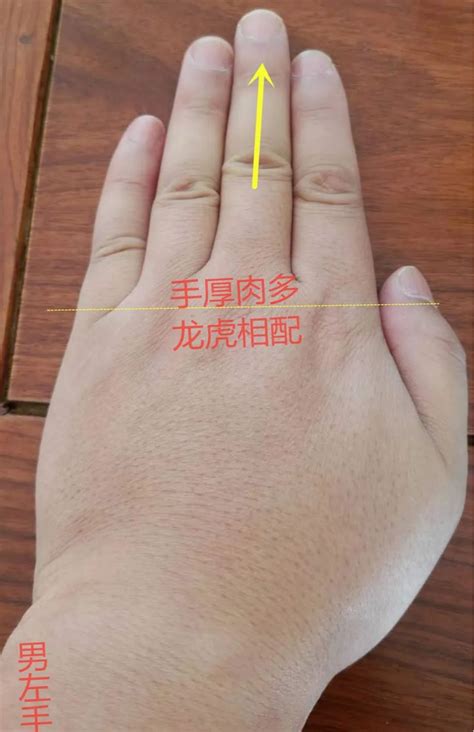男人爪字纹这种特征：婚姻晚，但事业容易风生水起！ 哔哩哔哩