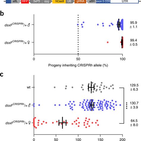 Heat Map Representation Of Microarray Analysis In A And Skov