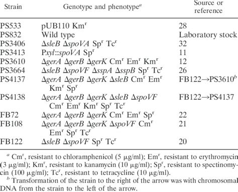B Subtilis Strains Used Download Table