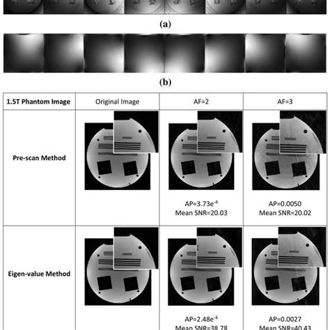 steps involved in estimating the receiver coil sensitivity maps using