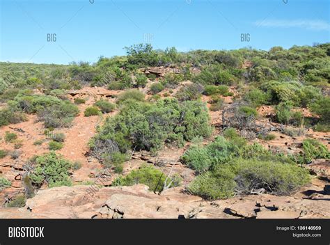 Rugged Bushland Image And Photo Free Trial Bigstock