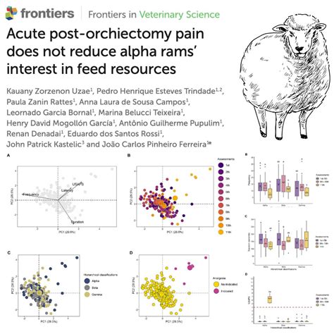 Pedro Henrique Esteves Trindade On Linkedin I Am Proud To Share The