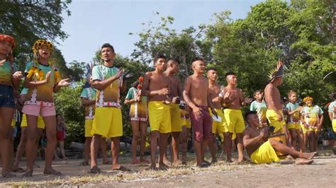Brazils Indigenous Communities Confront Challenges To Their Land And Way Of Life PBS News