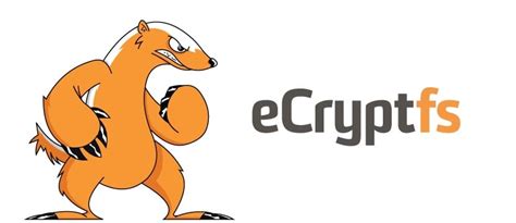 Encrypt Files And Directories On Linux Using ECryptFS ComputingForGeeks