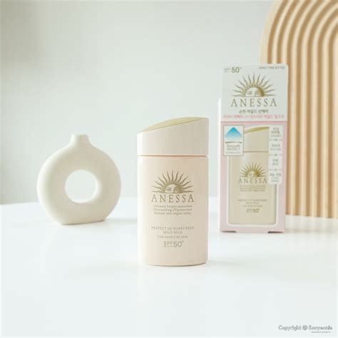 아넷사 선크림 퍼펙트 Uv 선스크린 마일드 밀크 저자극 순한 선크림 추천 패밀리 선케어 신제품 네이버 블로그