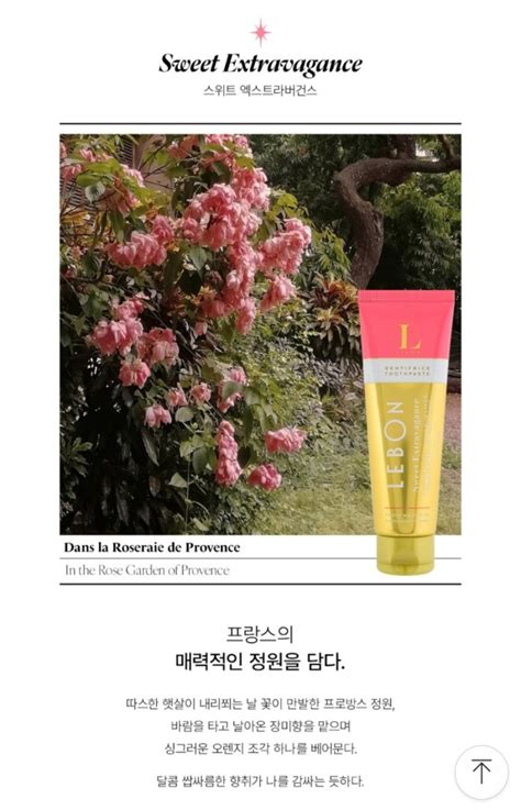 제품리뷰 프랑스여행필수템 치약계 에르메스 르봉 화이트닝 치약 75ml 찐사용후기 네이버 블로그