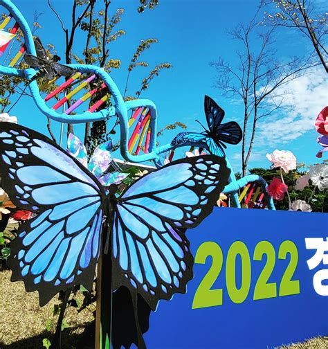 크멋자이언트플라워 청명한 가을 파란 하늘 아름다운 10월의 어느날에 거대한 나비가 훨훨~ 🦋