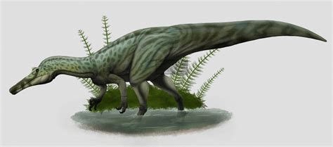 Baryonyx Walkeri By Thenewartistgr On Deviantart