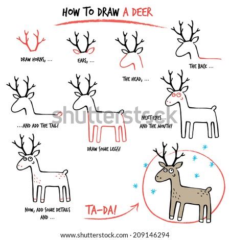 Drawing Tutorial How Draw Deer Step Stock Vector Royalty Free
