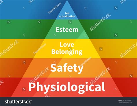 Maslow Pyramid Five Levels Hierarchy Needs Hình minh họa có sẵn Shutterstock