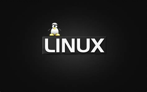 5 Reasons To Opt For Linux Web Hosting