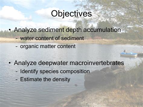 Ppt Sediment Depth Accumulation And Benthic Macroinvertebrates