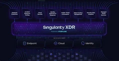 sentinelone xdr identity endpoint at rs 40000 month in chennai id