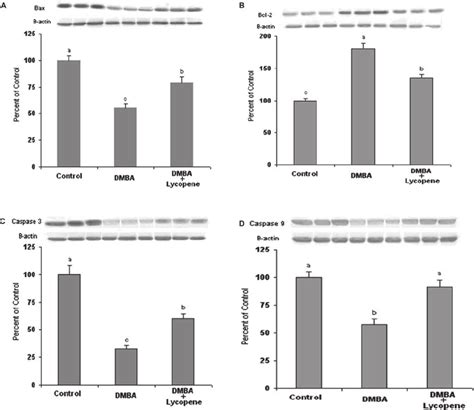 Effect Of Lycopene On A Hepatic Bax B Bcl 2 C Caspase 3 And
