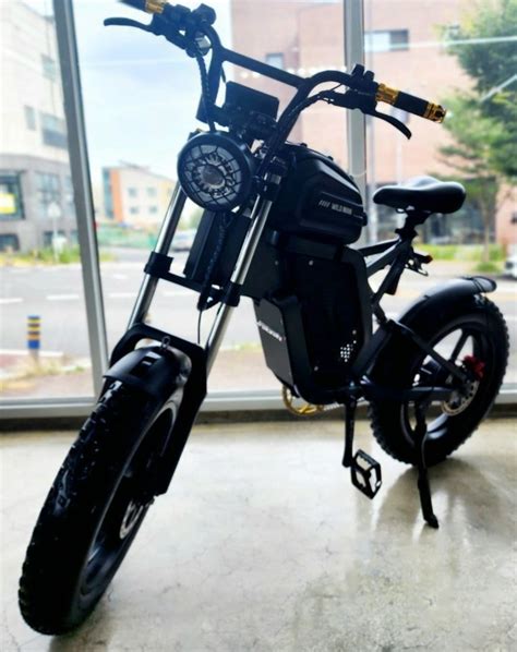 전기자전거 튜닝 펫바이크 팝니다 당근 중고거래