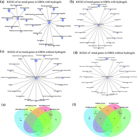 Analysis Of The Potential Role Of Photocurable Hydrogel In Patient