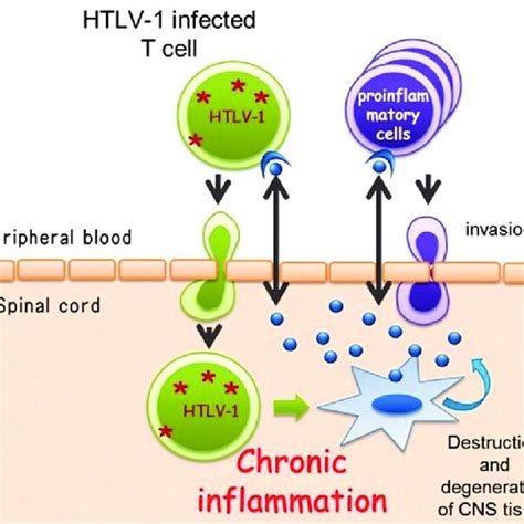 Tregth17 Imbalance In Human T Lymphotropic Virus Type 1 Infection