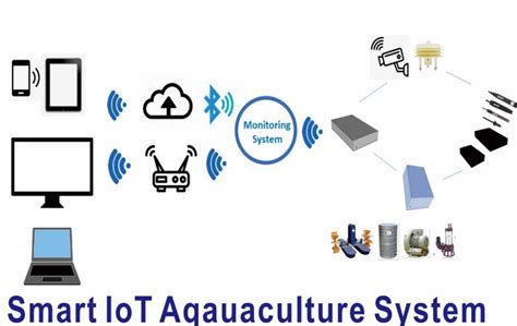 Start Up Aims To Make A Splash With Aquaculture Sensor For Developing Nations