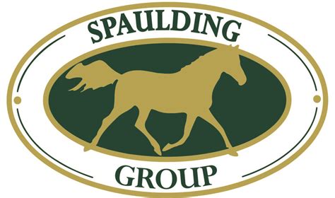 Spaulding Group Berkshire Hathaway Homeservices C Dan Joyner Realtors