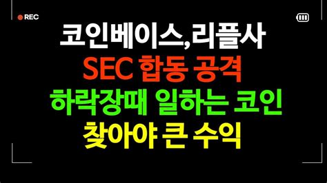 불장은 반드시 돌아온다비트코인 다음 불장 3억 Youtube