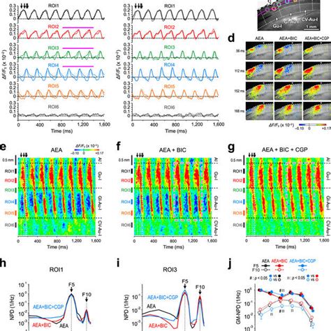 Involvement Of GABABR In The Feed Forward Inhibition Of AEA Induced