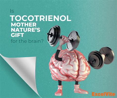 Excelvite Sdn Bhd On Linkedin Palm Tocotrienol Also Known As