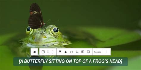 Enhancing Accessibility In WordPress With Aria Labels Plugin Jacob Lodes