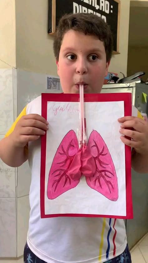 Imágenes Del Sistema Respiratorio Para Niños Sistema Respiratorio