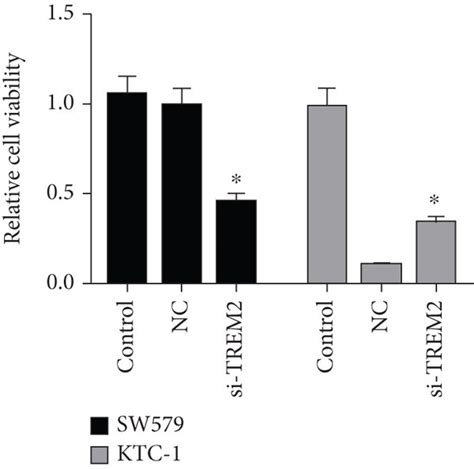 Trem2 Knockdown Inhibited Cell Cycle And Proliferation Migration And
